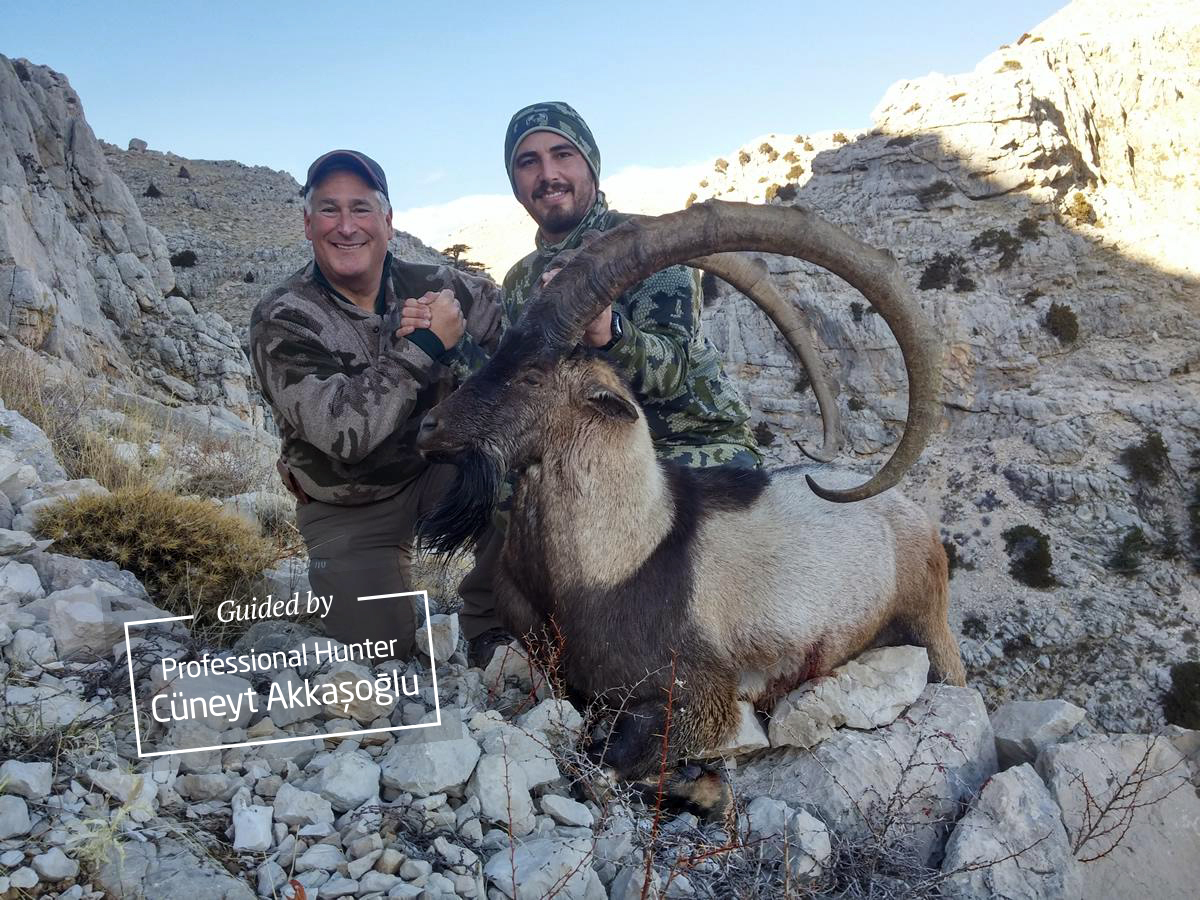 Bezoar ibex hunting in Turkey | Hunting Ibex | Optimum Hunting ...
